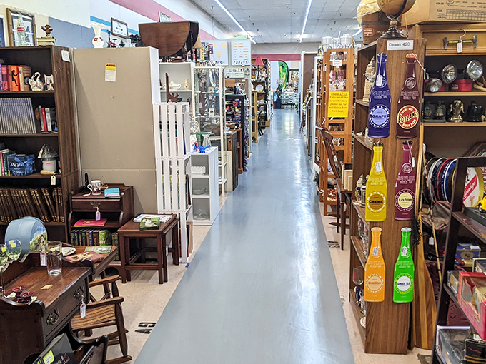 The long, inviting aisles seem to stretch into infinity, each one a rabbit hole of discovery where three hours can vanish in what feels like minutes.