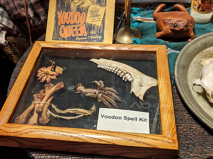 The "Voodoo Spell Kit" display offers a glimpse into misunderstood spiritual practices, carefully presented with educational context rather than sensationalism.