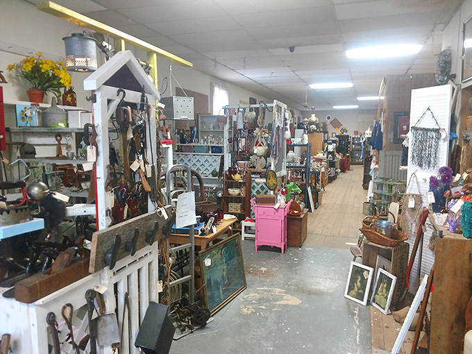 White-painted floorboards lead visitors deeper into the shop's maze of memories, where each room promises new discoveries around every corner.