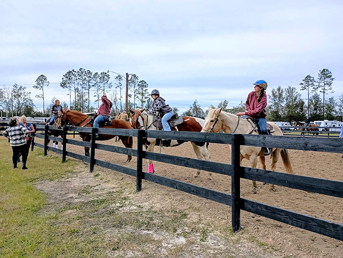 Williston Horseman's Park showcases the town's deep connection to riding traditions with events that celebrate skill and partnership.
