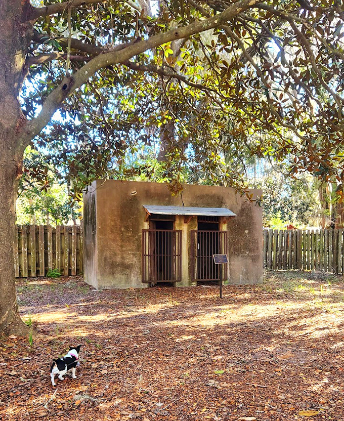 Dappled sunlight plays across the abandoned jail's exterior, softening the harsh reality of what once transpired within.