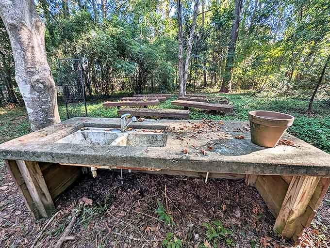 Rustic remnants: This weathered outdoor sink stands as a practical reminder of the property's working garden history.
