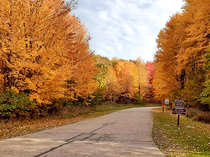 Autumn doesn't just happen at Sleepy Hollow &ndash; it performs, turning ordinary roads into golden tunnels that lead to seasonal magic.