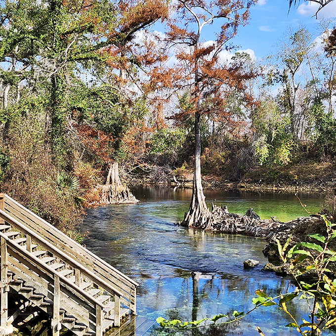 Autumn transforms Madison Blue into a painter's palette, with cypress trees donning their seasonal copper crowns above turquoise waters.