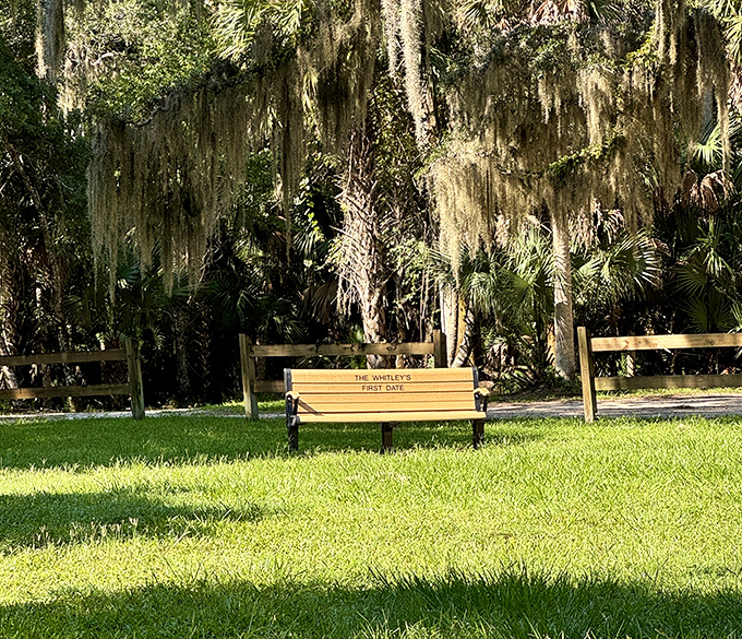 A dedicated bench offers weary hikers a moment to rest and contemplate the timeless beauty surrounding them.
