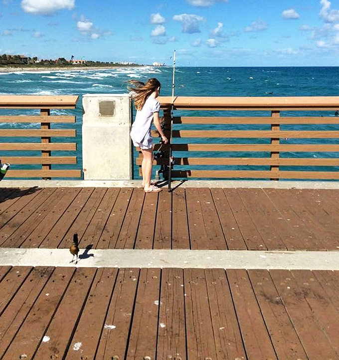 Boardwalk views offer a perfect vantage point for humans while their four-legged friends scout the shoreline below.