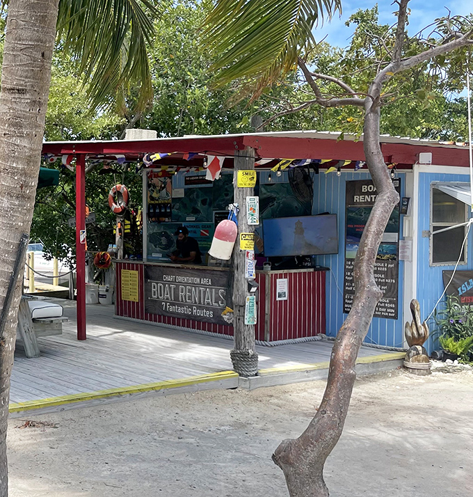 Beyond tarpon feeding, Robbie's offers boat rentals for those wanting to explore the surrounding waters at their own pace.
