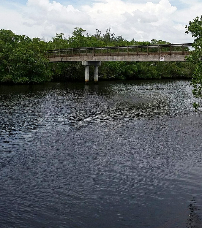 The bridge spans calm waters like a gateway between worlds, connecting visitors to otherwise inaccessible pockets of wilderness.