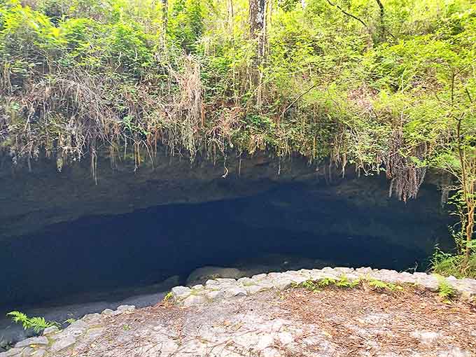 Look up through this natural limestone opening and witness the perfect framing of Florida's brilliant blue sky.