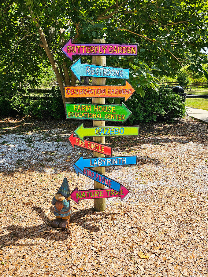 This colorful directional post doesn't just point the way&mdash;it promises adventures down every path, with a gnome standing guard below.