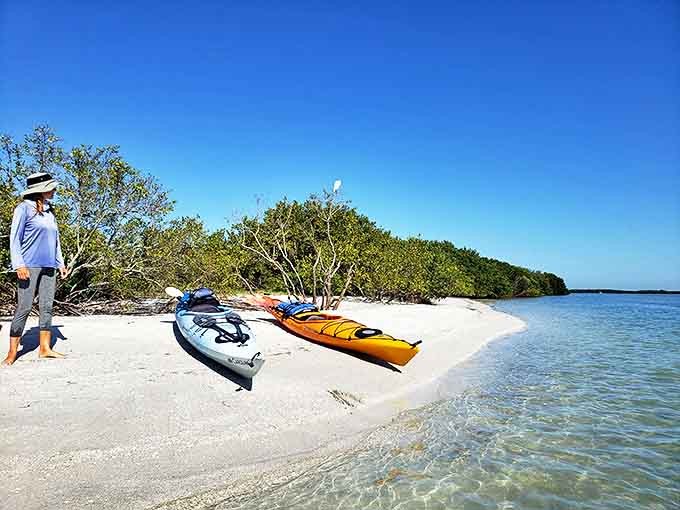 Colorful kayaks rest on Shell Key's powdery shores, waiting for their next adventure through the preserve's magical mangrove mazes.