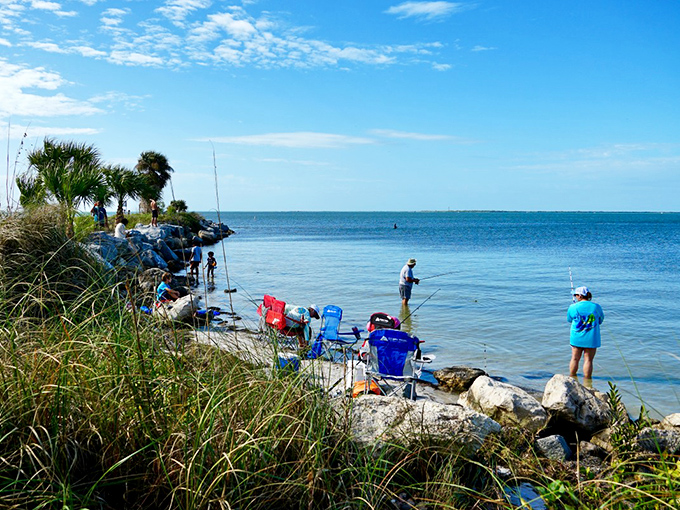 Anglers line the shoreline, their patience rewarded by some of the Gulf's most prized catches just steps from the causeway.