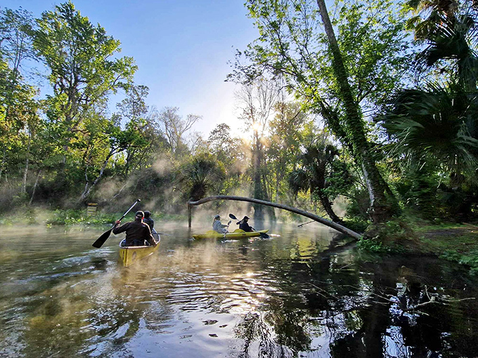Morning mist rises like nature's special effect, transforming ordinary paddling into a scene straight from a fantasy film. Pure Florida magic.