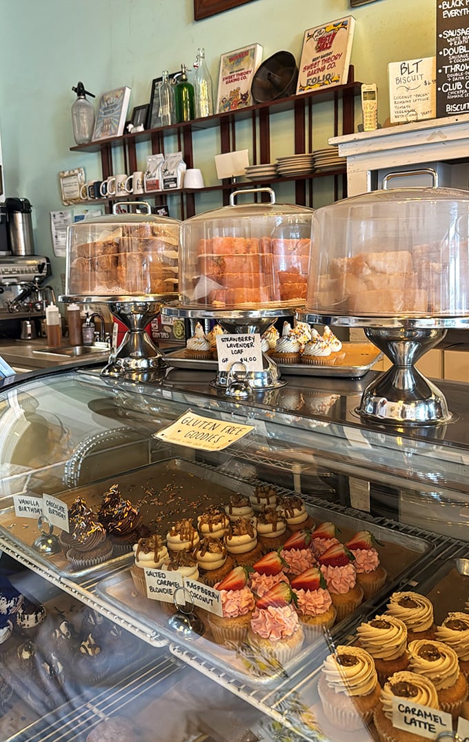 The display case reveals gluten-free options that don't taste like punishment, from classic glazed donuts to cinnamon treats.