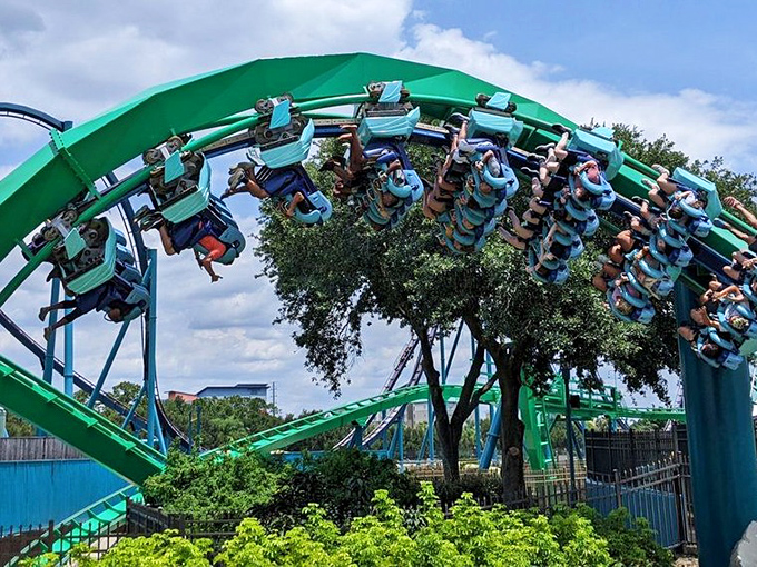 Kraken: This floorless coaster's green track twists through seven inversions, creating an unmatched sense of vulnerability as riders' feet dangle freely through loops and rolls.
