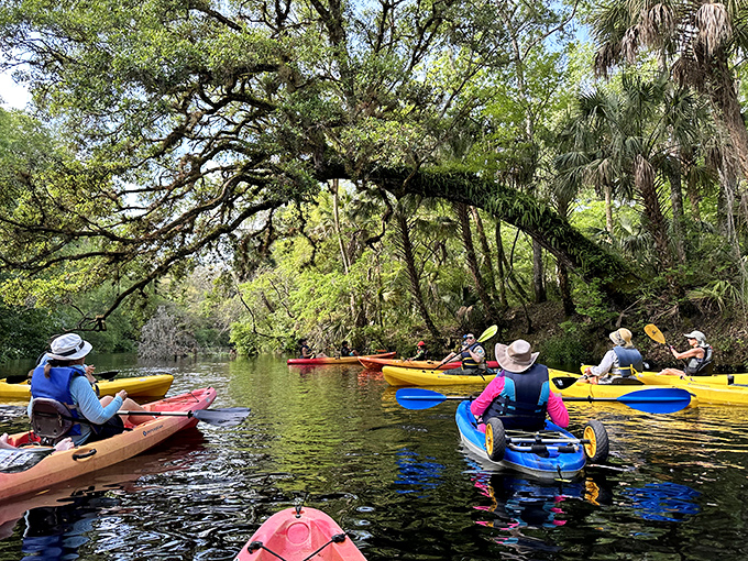 Kayaking under cathedral-like canopies of Spanish moss and cypress &ndash; nature's version of a luxury cruise, minus the buffet.