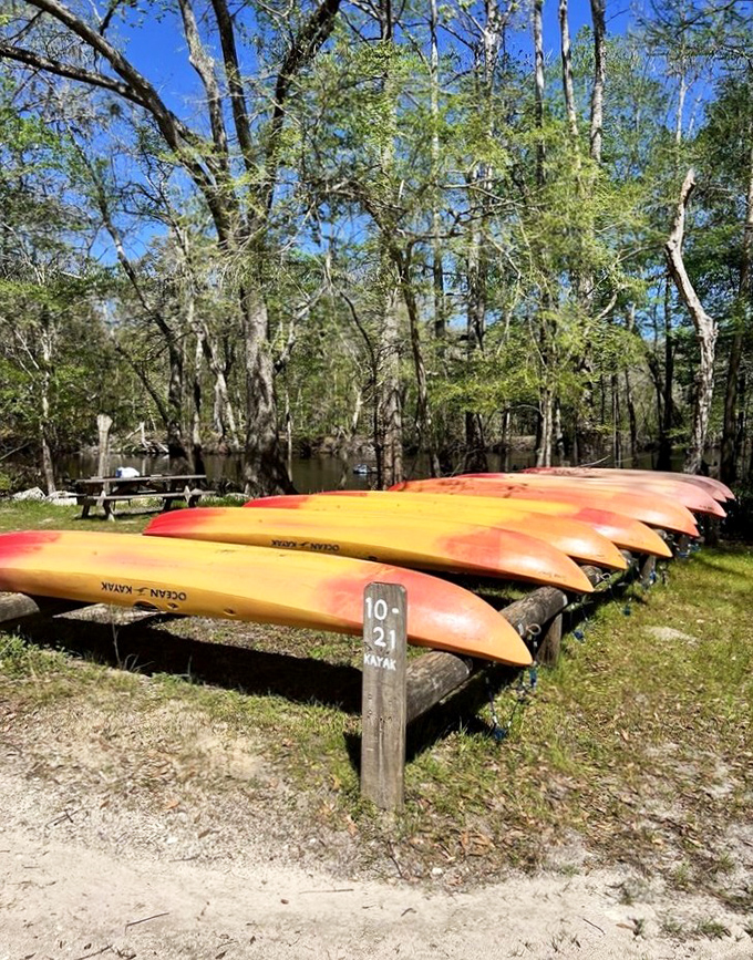 A rainbow fleet of kayaks stands ready for adventure, promising explorers intimate access to hidden corners of this aquatic paradise.