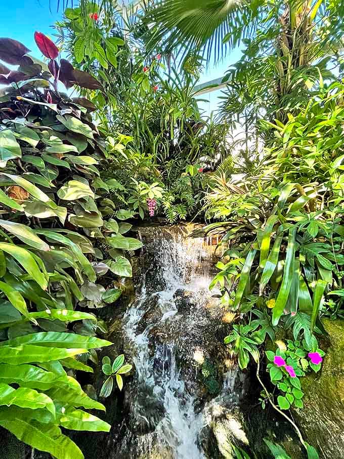 Multiple waterfalls create pockets of tranquility throughout the exhibit, because even butterflies appreciate good ambiance.