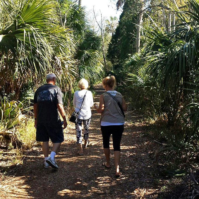 Three explorers venture deeper into the preserve, where conversation naturally drops to whispers in nature's cathedral.