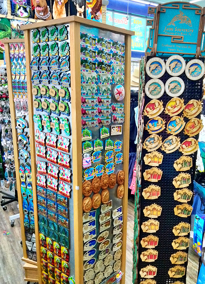 Ref Magnets: A kaleidoscope of souvenir magnets transforms ordinary refrigerators into vibrant vacation scrapbooks, each one a tiny portal to paradise.