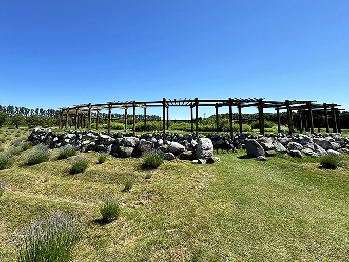 Wooden structures standing tall against the Michigan sky, framing views that make even smartphone-addicted teenagers look up and notice.