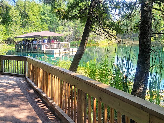 The covered raft offers front-row seats to Mother Nature's aquarium, no ticket required except your undivided attention.