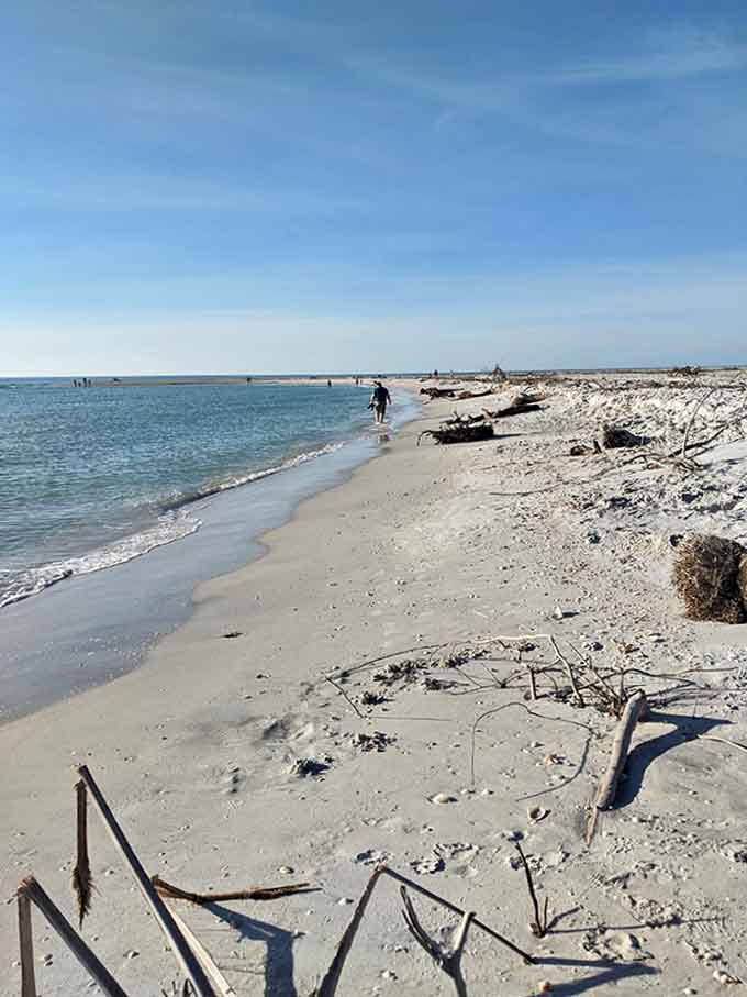 Where footprints disappear with each tide, nature's way of saying "you were never here" &ndash; Cayo Costa's pristine shoreline.