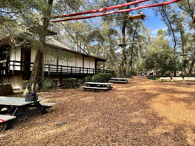 Rustic picnic tables nestled under ancient oaks offer the ideal spot to rest weary feet and contemplate which dinosaur you'd take home if you could.