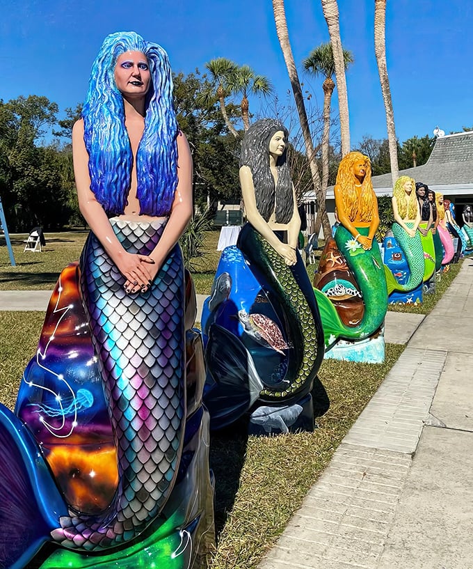 The lineup resembles a beauty pageant where everyone wins, nobody's wearing uncomfortable heels, and the swimsuit competition is permanently canceled.