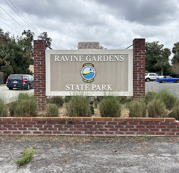 The welcoming sign stands guard at the entrance, like a friendly bouncer to nature's exclusive club where everyone's on the VIP list.