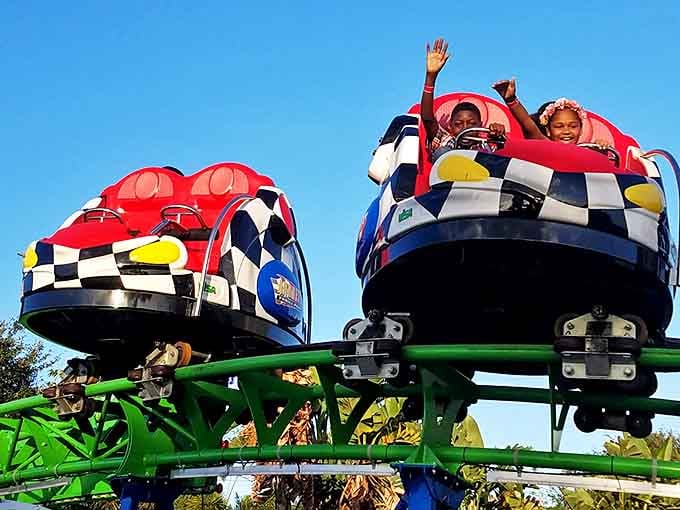 Spinning cars bring squeals of delight as riders experience centrifugal forces that test both stomach strength and lunch-holding capabilities.