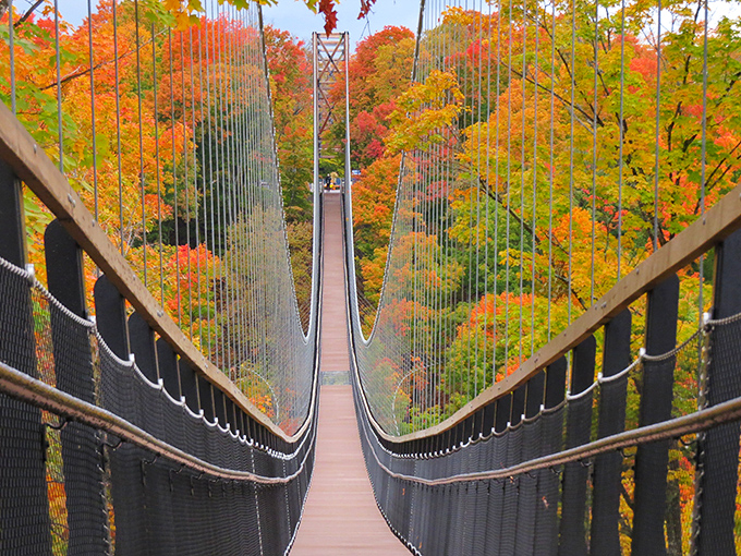 Sunlight plays across the cables, creating a geometric light show against the backdrop of Michigan's endless green canopy. Nature meets design in perfect harmony.