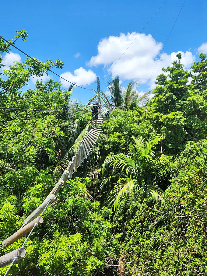 The office cubicle feels like a distant memory as you navigate this suspended pathway through Miami's vibrant tropical canopy.