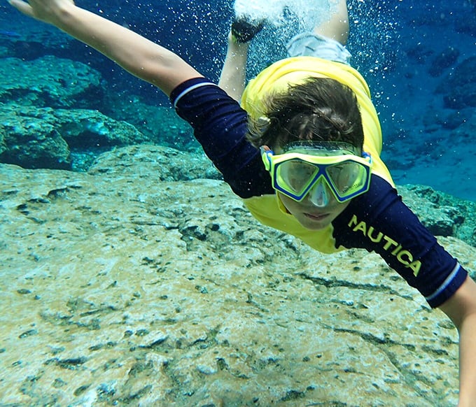 Below the surface, an entirely different universe awaits – no spaceship required for this otherworldly journey.