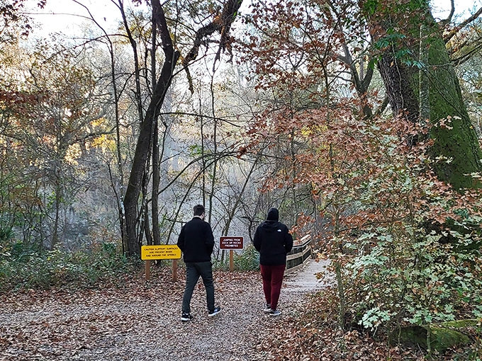 Two explorers contemplating nature's mysteries &ndash; or possibly just deciding where to eat lunch after their hike.