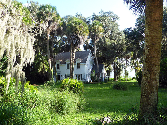 This historic white house peeks through the palms, a reminder of human history nestled within nature's embrace.