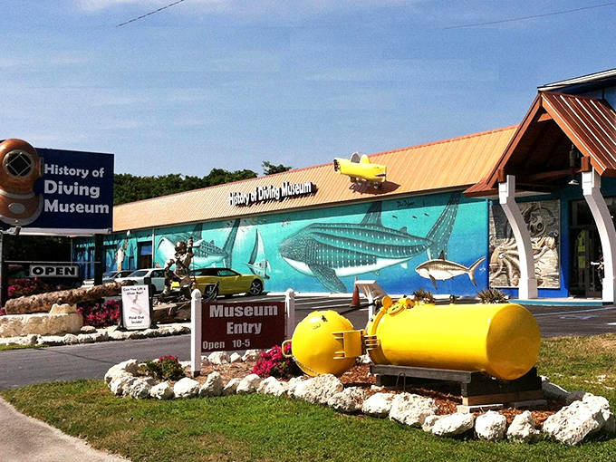 Bright blue walls decorated with ocean creatures prepare you for an underwater adventure on dry land.