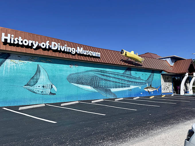 The colorful mural featuring sharks and rays promises deep-sea discoveries await inside this roadside museum.