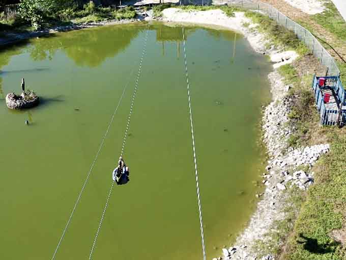 Racing across a zipline with gator habitats below combines Florida's wildest elements into one unforgettable ride.