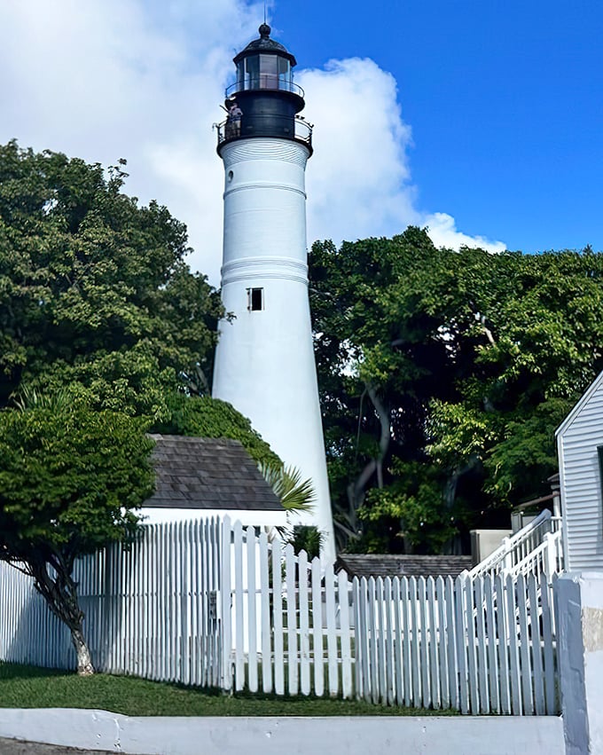 Key West's charming white lighthouse stands tall amid palm trees, its classic design embodying the island's blend of history and tropical paradise.