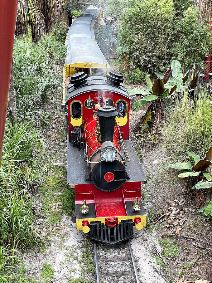 The Serengeti Express offers thrilling close encounters with African wildlife in their spacious natural habitats.