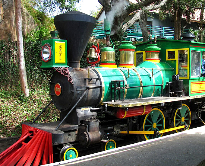 This colorful train takes Busch Gardens visitors on a safari adventure where giraffes and zebras might be just feet away.
