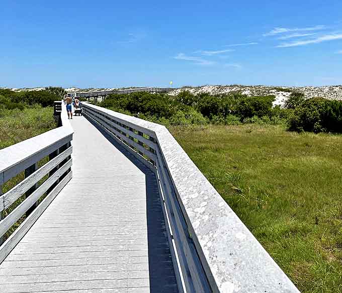 Anastasia State Park's boardwalk cuts through coastal wilderness, leading adventurers to pristine beaches where footprints disappear with each tide.