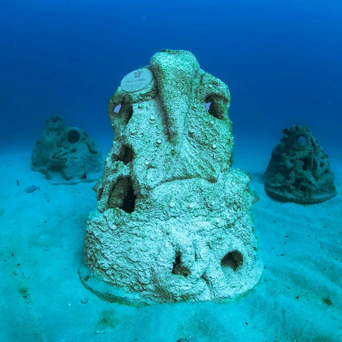 The distinctive sculptural modules create an alien landscape on the seafloor, designed to withstand currents while attracting marine life.