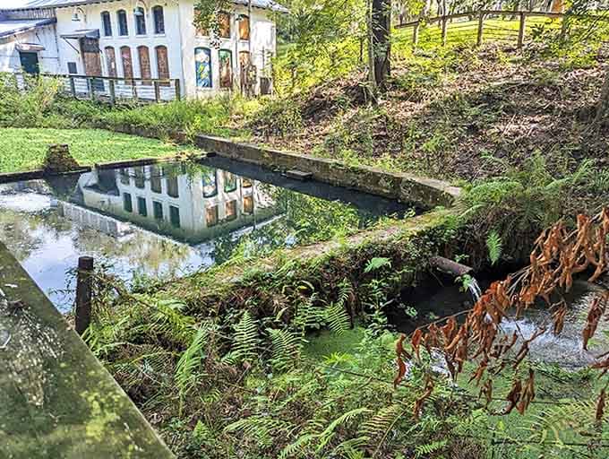 The still waters create perfect mirrors, doubling the visual impact of this historic structure where Gainesville's story began.