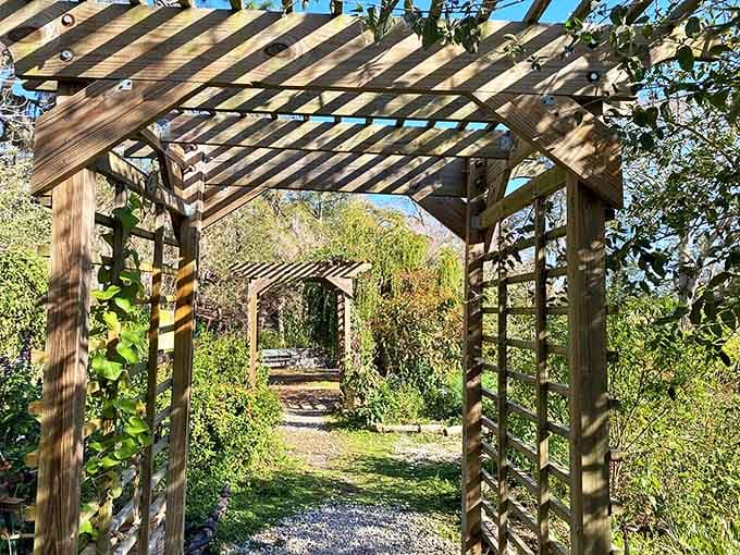 A wooden archway draped in greenery invites visitors into the butterfly garden, nature's living art gallery where winged wonders dance.