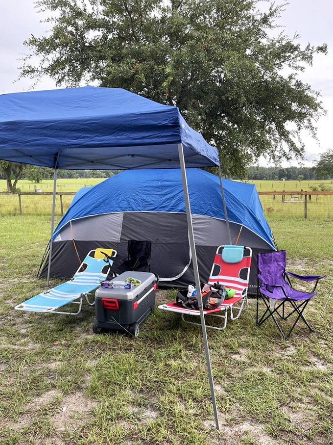 Camping at Ginnie Springs means waking up to paradise &ndash; this waterside setup offers front-row seats to nature's greatest show.