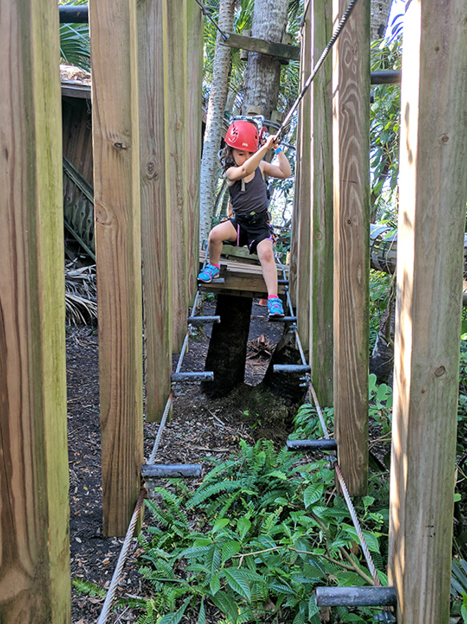 Determination climbs upward as this young adventurer scales the wooden ladder, each rung bringing new perspective on the forest below.