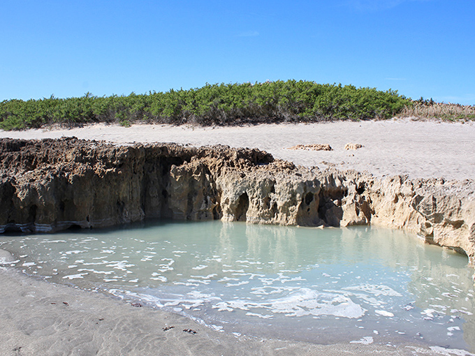 A natural tidal pool nestled among the rocks offers a serene contrast to the crashing waves just steps away.