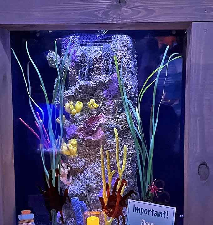 A living rainbow grows beneath the surface &ndash; these vibrant coral formations prove that Mother Nature was the original abstract artist.